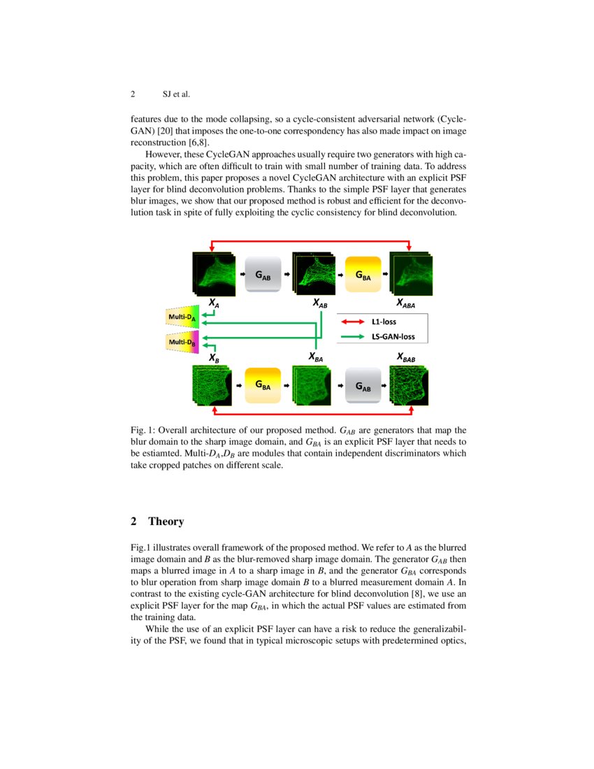 Blind Deconvolution Microscopy Using Cycle Consistent CNN with Explicit ... Blind Deconvolution Microscopy Using Cycle Consistent CNN with Explicit ...
