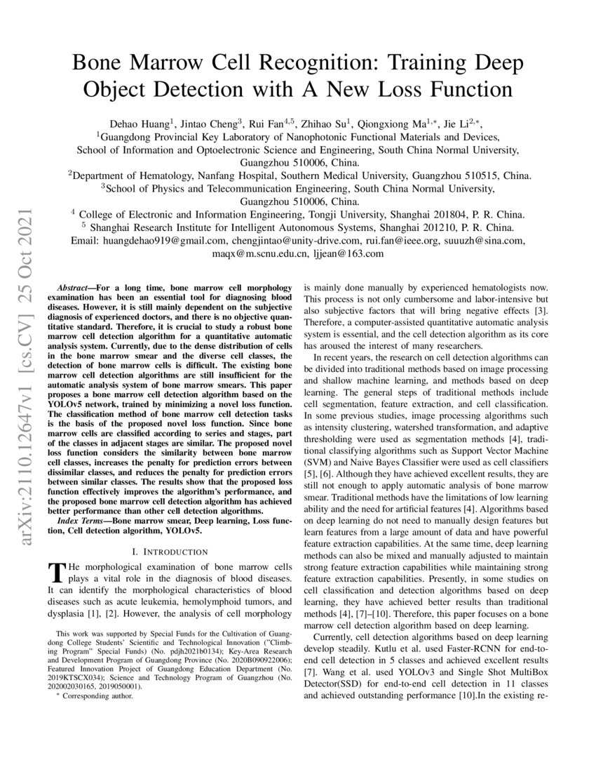 Bone Marrow Cell Recognition: Training Deep Object Detection with A New Loss Function | DeepAI