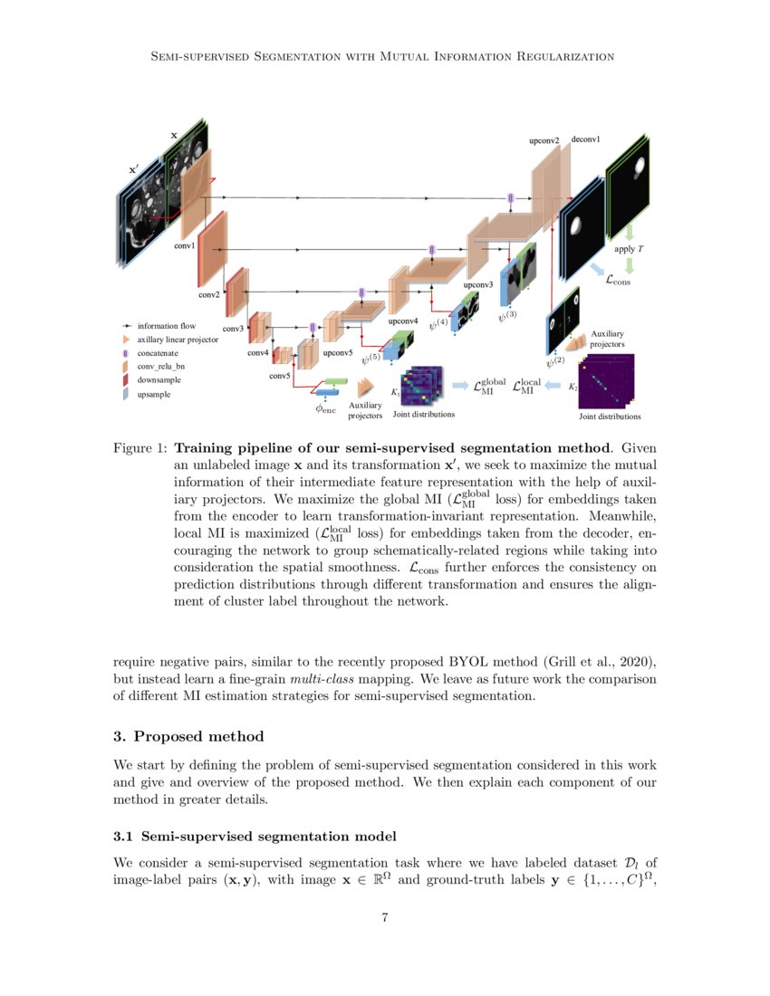 Boosting Semi-supervised Image Segmentation with Global and Local Mutual Information ...