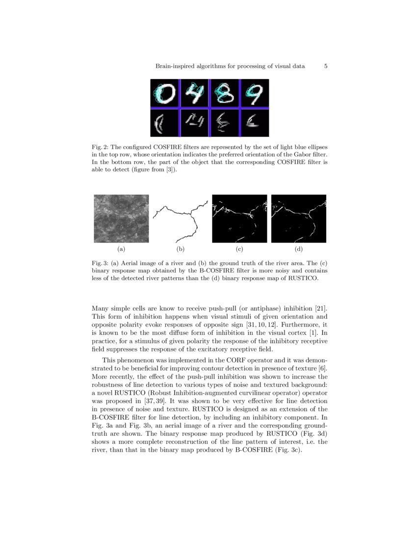 Brain-inspired algorithms for processing of visual data | DeepAI