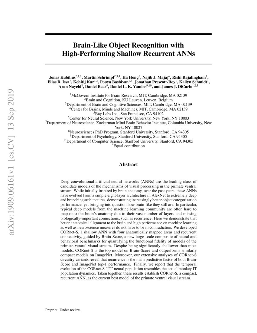 Brain Like Object Recognition With High Performing Shallow Recurrent