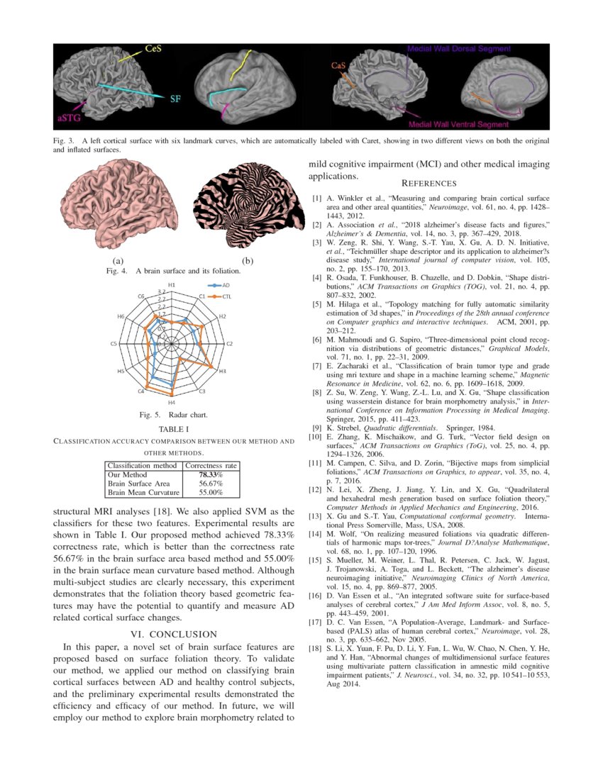 Brain Morphometry Analysis with Surface Foliation Theory | DeepAI