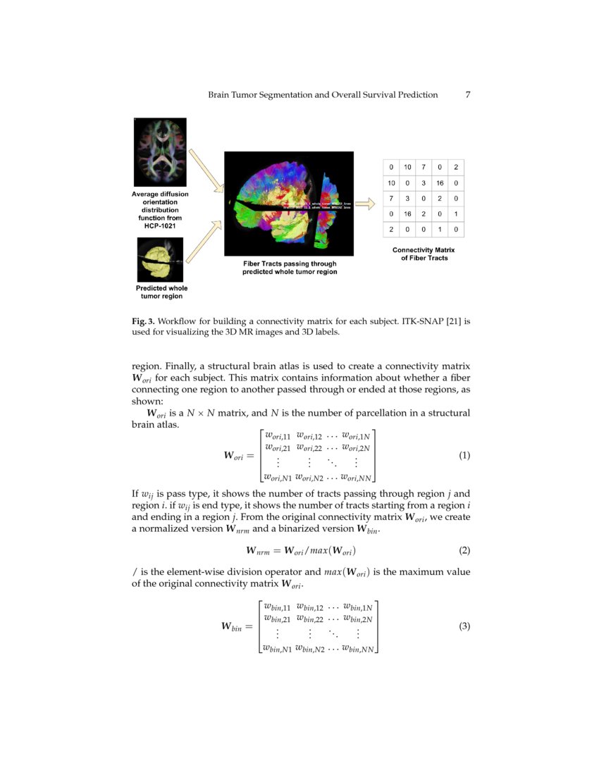 Brain Tumor Segmentation And Tractographic Feature Extraction From
