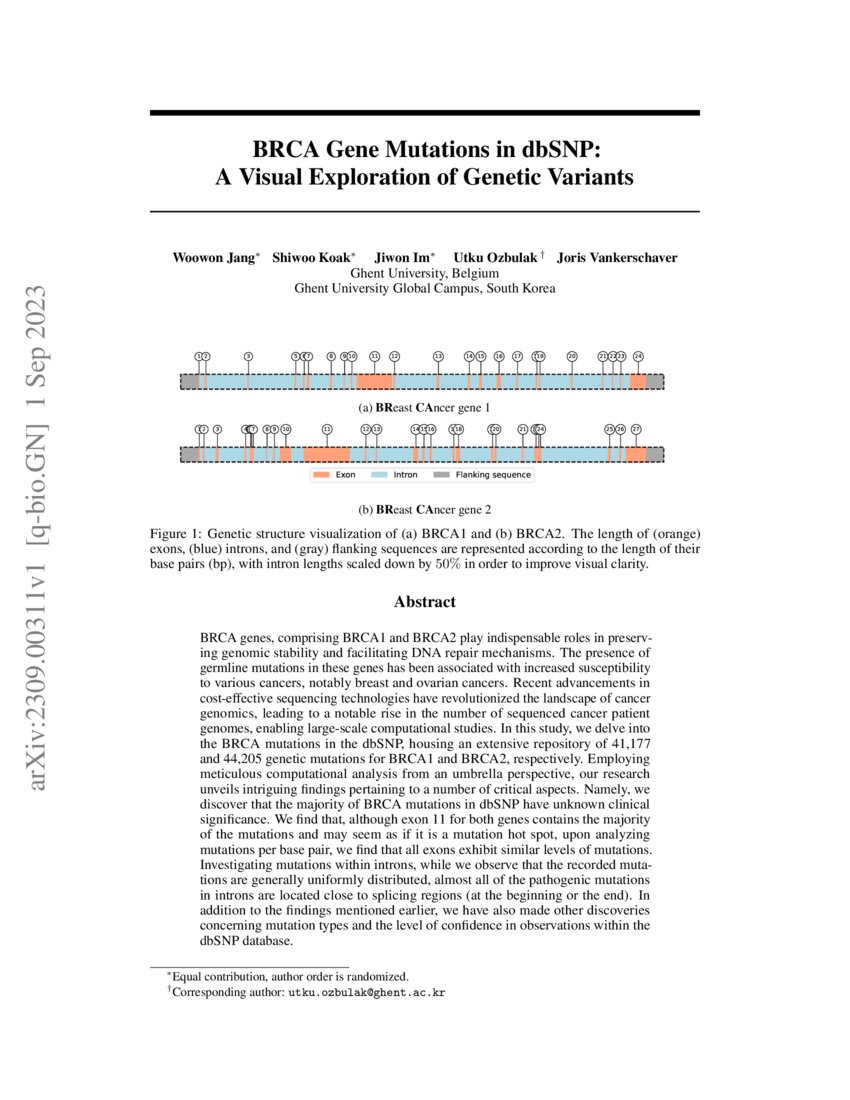 BRCA Gene Mutations in dbSNP: A Visual Exploration of Genetic Variants ...