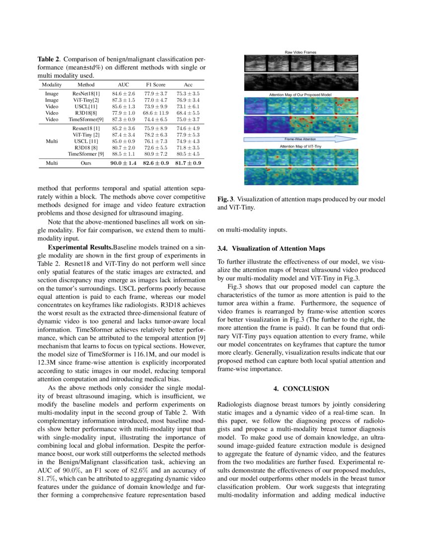 Breast Lesion Diagnosis Using Static Images and Dynamic Video | DeepAI