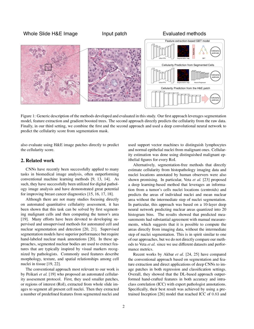 Breast Tumor Cellularity Assessment using Deep Neural Networks | DeepAI