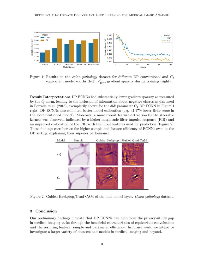 Bridging The Gap Differentially Private Equivariant Deep Learning For