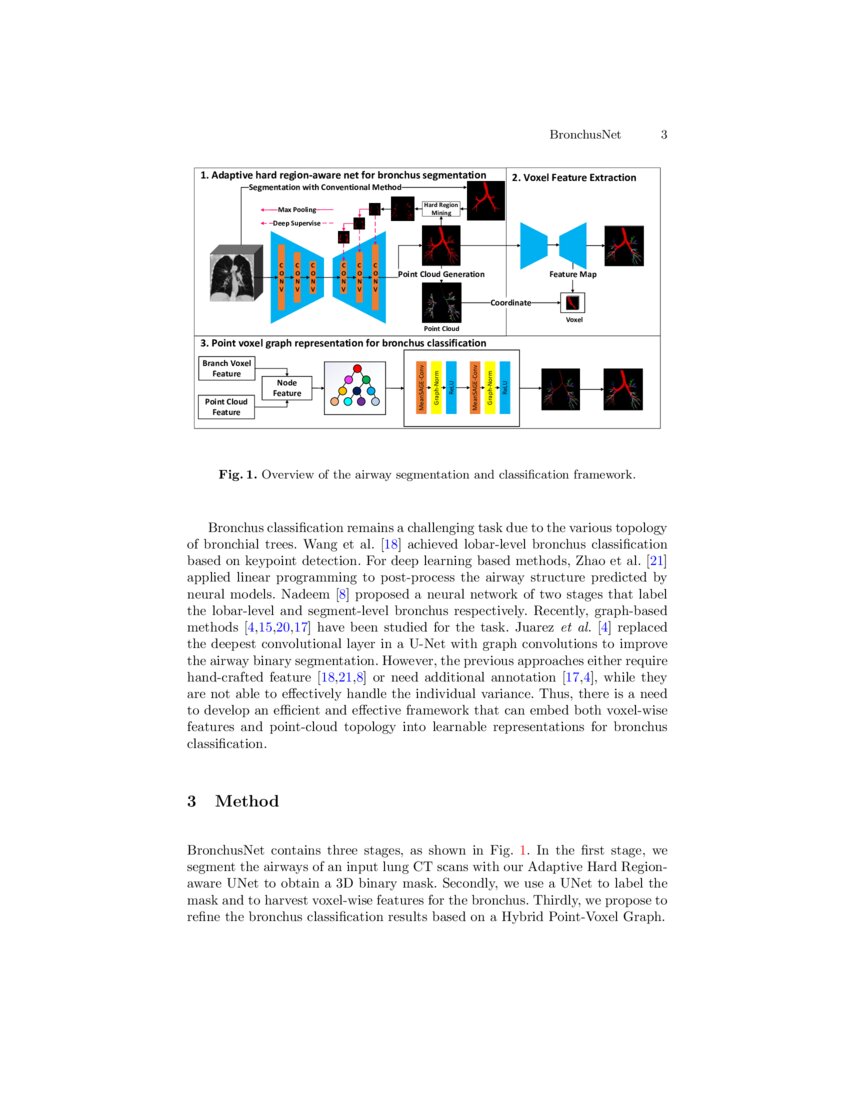 Bronchusnet Region And Structure Prior Embedded Representation