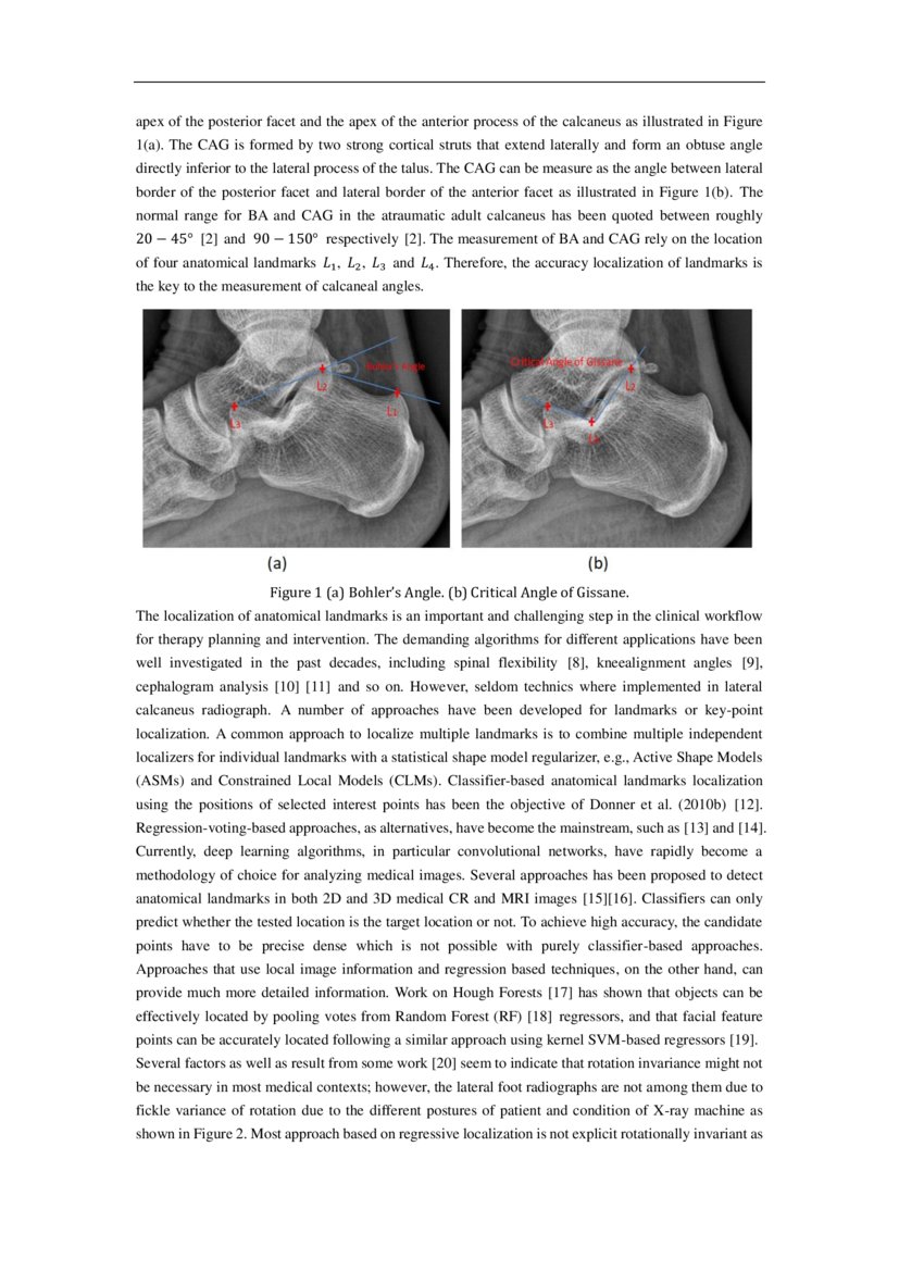 Calcaneus Radiograph Analysis System: Calcaneal Angles Measurement and ...