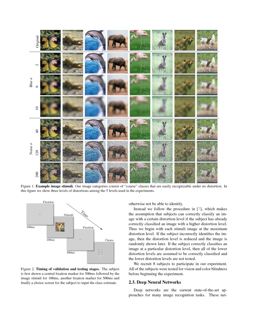 Can the early human visual system compete with Deep Neural Networks ...