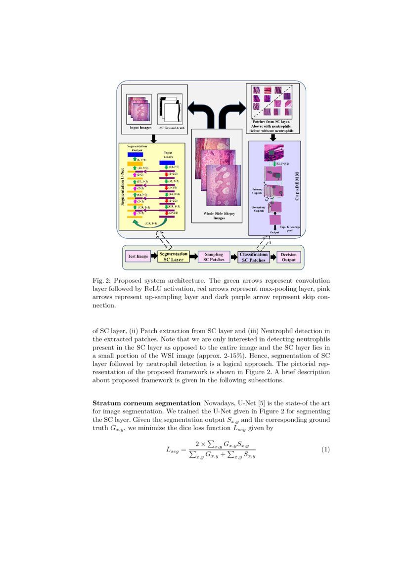 CapsDeMM: Capsule network for Detection of Munro' s Microabscess in ...