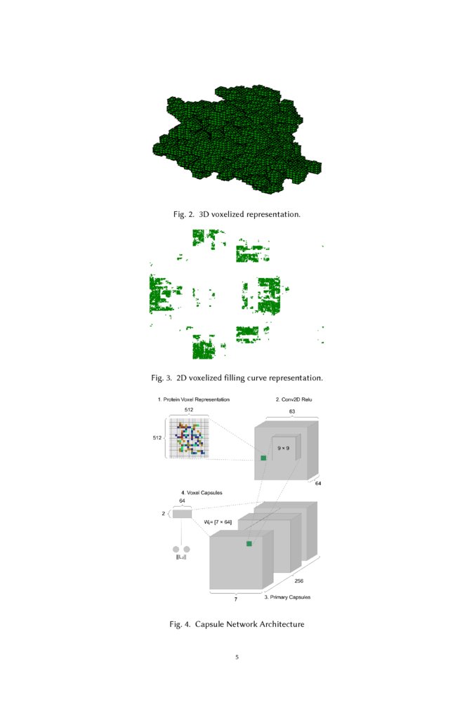 Capsule Networks for Protein Structure Classification and Prediction | DeepAI