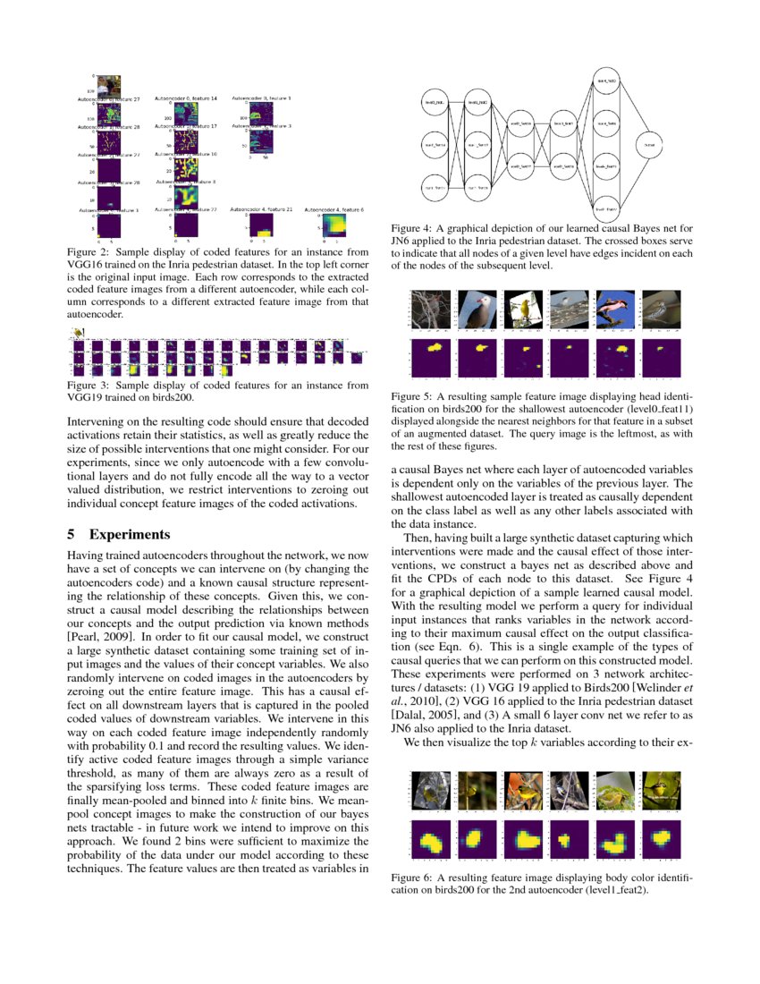 Causal Learning And Explanation Of Deep Neural Networks Via Autoencoded
