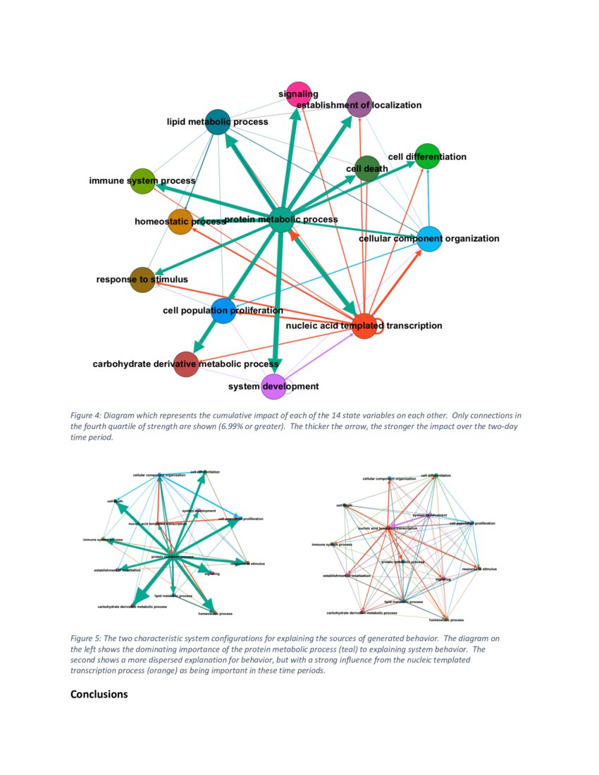 Causally interpretable multi-step time series forecasting: A new ...