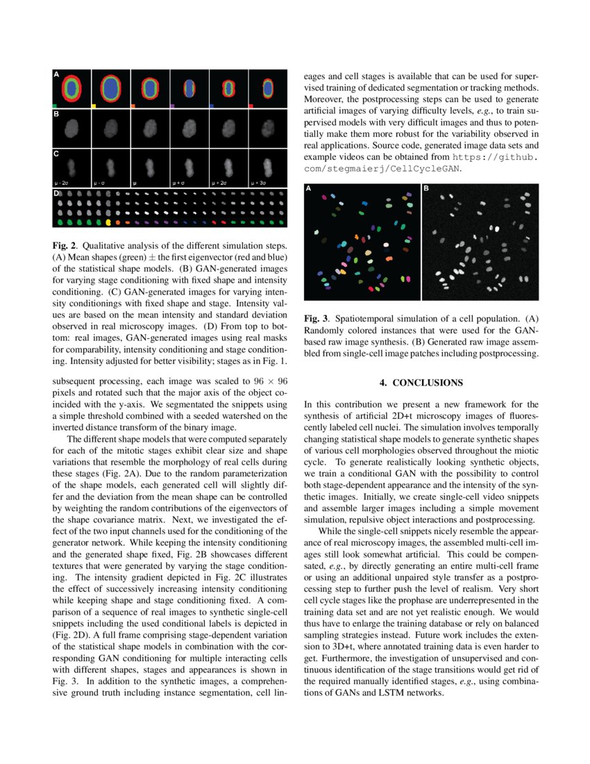 Cellcyclegan Spatiotemporal Microscopy Image Synthesis Of Cell