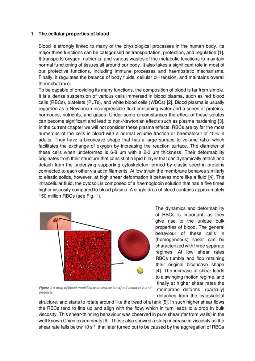 Cellular blood flow modelling with HemoCell | DeepAI