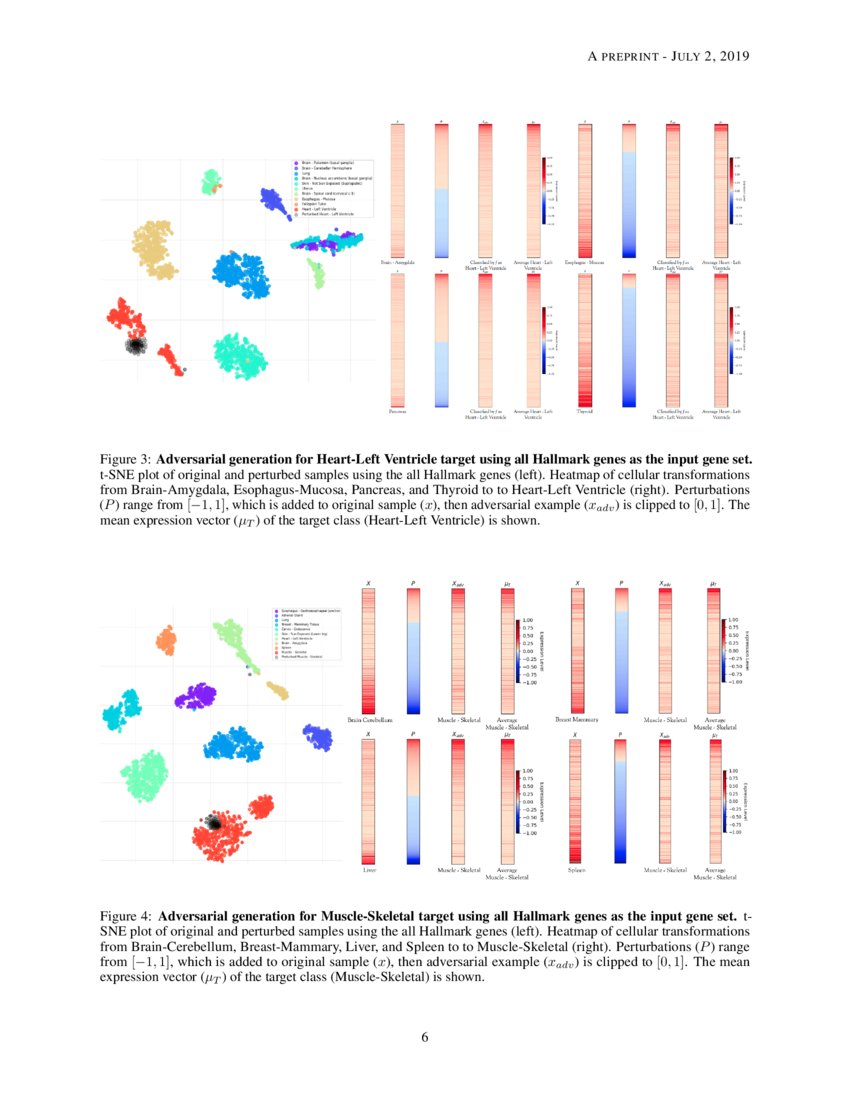Cellular State Transformations Using Generative Adversarial Networks Deepai
