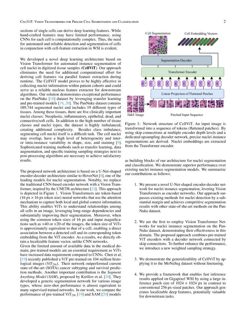 CellViT: Vision Transformers for Precise Cell Segmentation and Classification | DeepAI