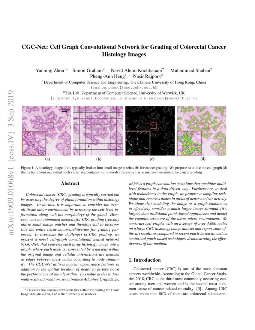 Cgc Net Cell Graph Convolutional Network For Grading Of Colorectal