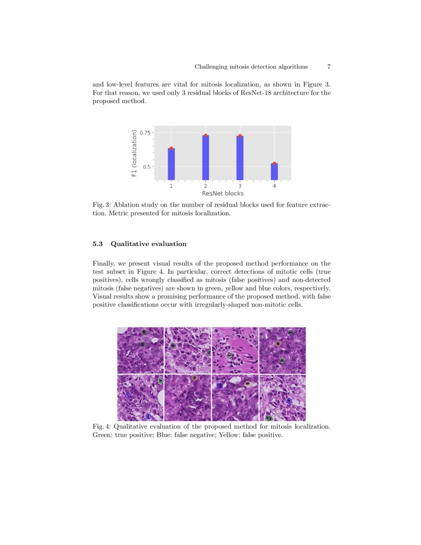 Challenging mitosis detection algorithms: Global labels allow centroid localization | DeepAI