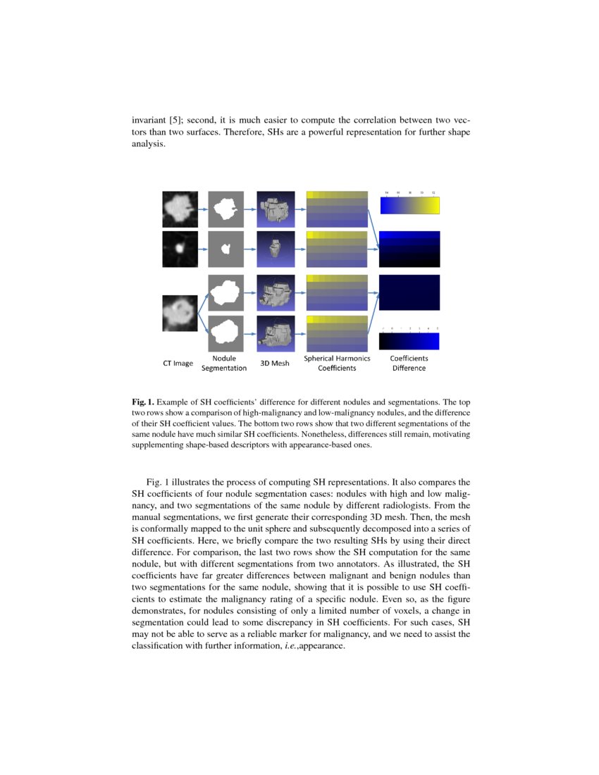 Characterization of Lung Nodule Malignancy using Hybrid Shape and ...