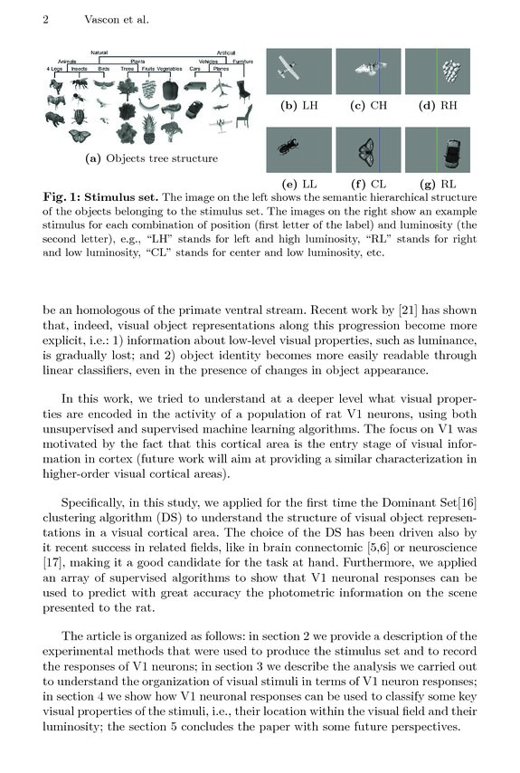 Characterization of Visual Object Representations in Rat Primary Visual ...