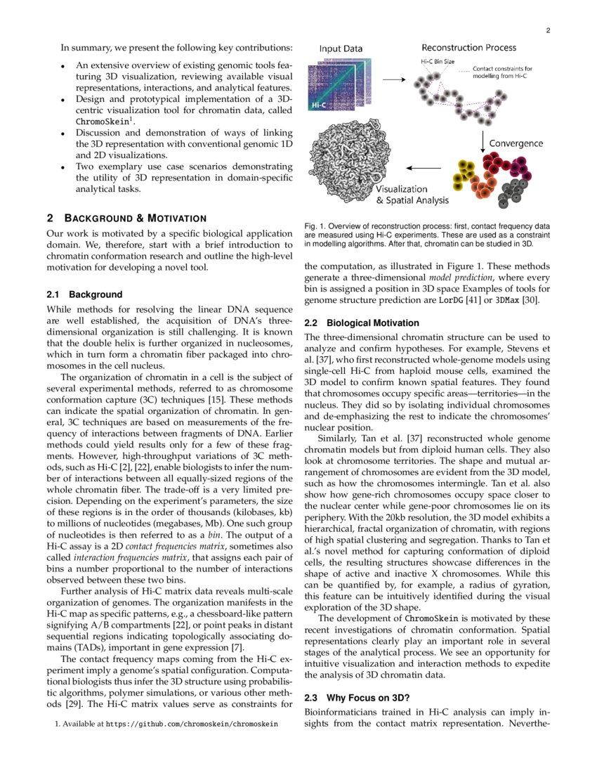 ChromoSkein: Untangling Three-Dimensional Chromatin Fiber With a Web ...