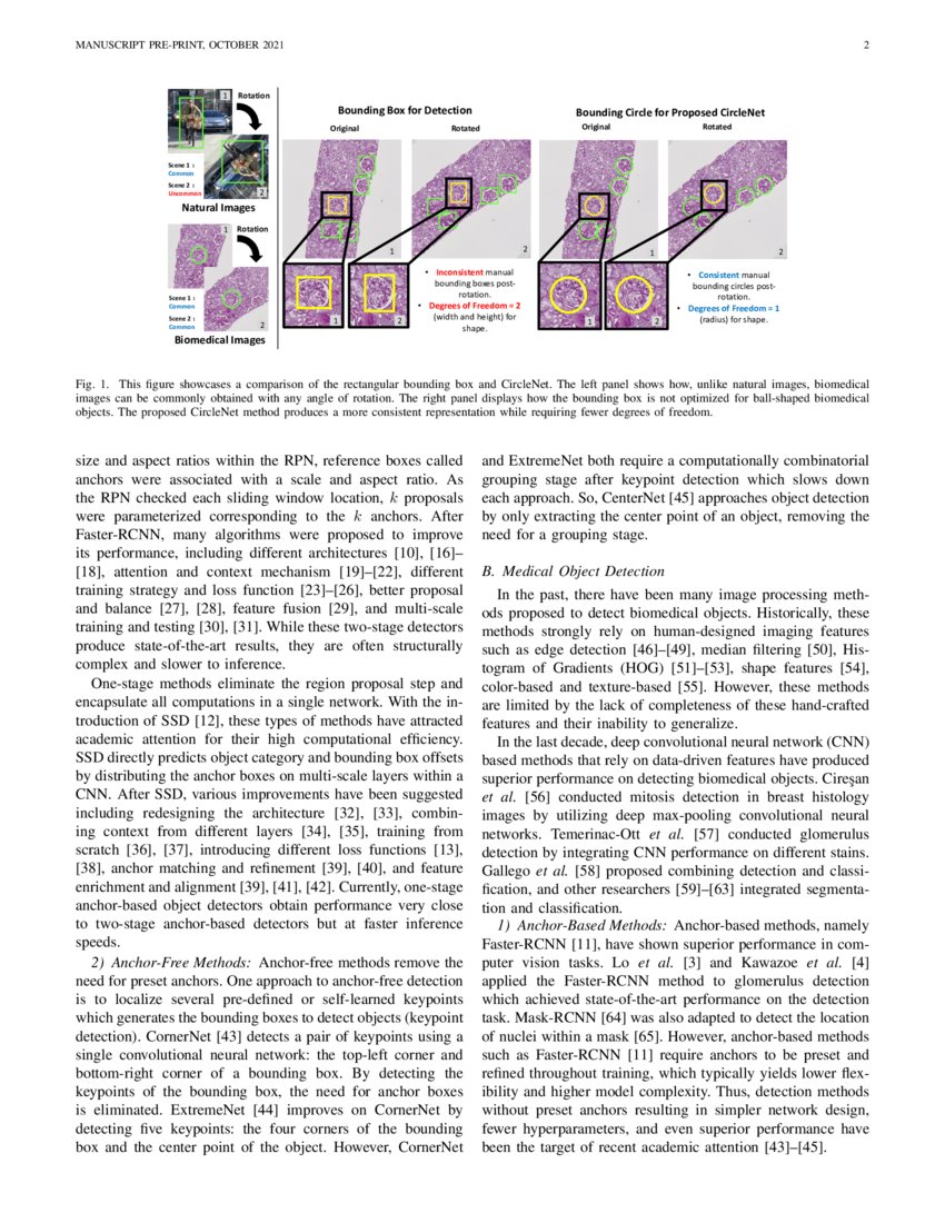 Circle Representation For Medical Object Detection Deepai