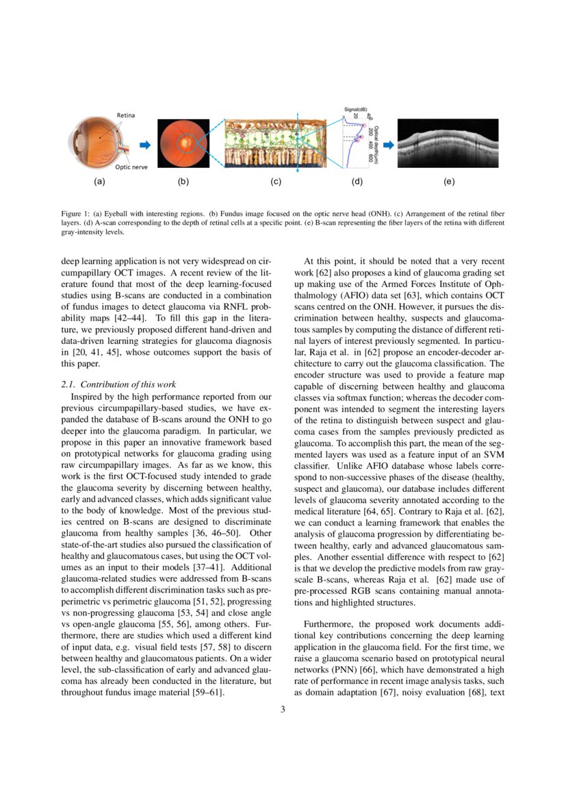 Circumpapillary OCT-Focused Hybrid Learning for Glaucoma Grading Using Tailored Prototypical ...
