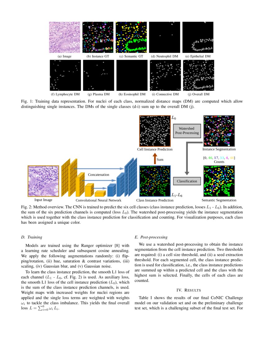 ciscNet – A Single-Branch Cell Instance Segmentation and Classification Network | DeepAI