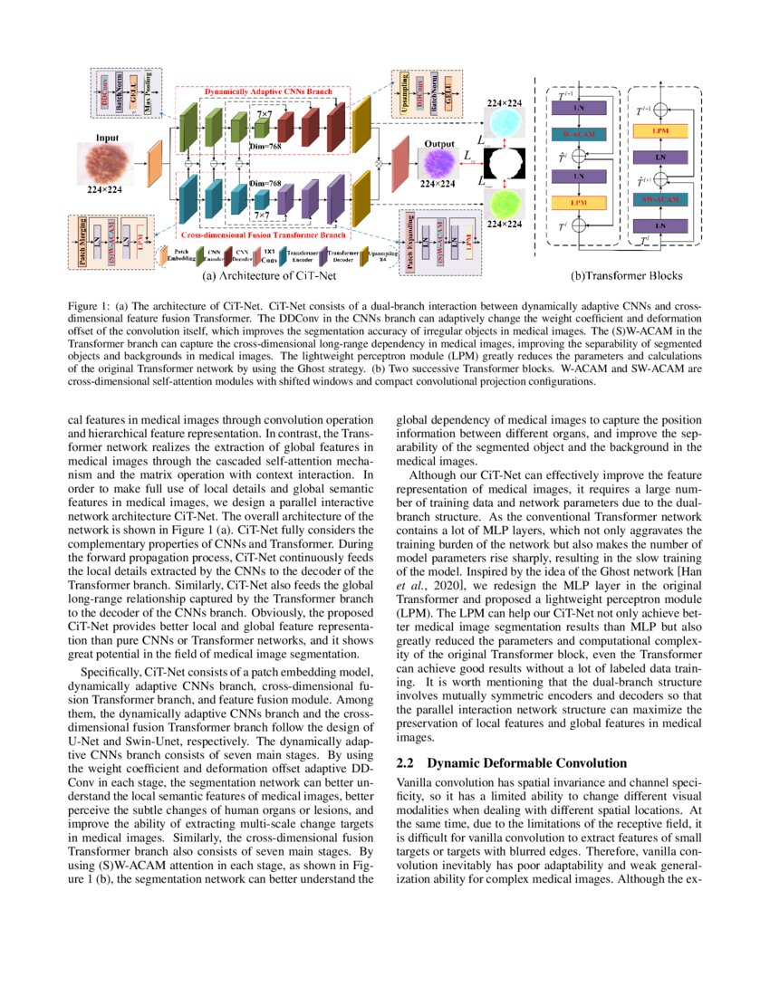 Cit Net Convolutional Neural Networks Hand In Hand With Vision