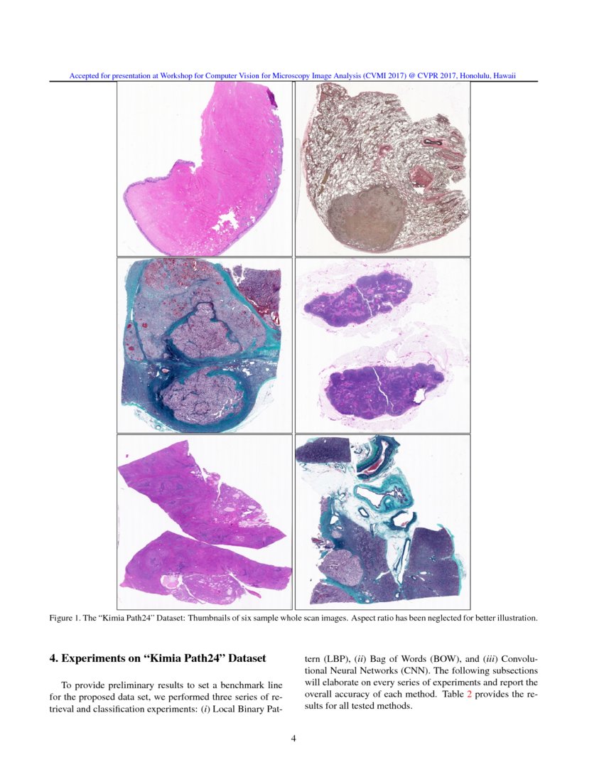 Classification and Retrieval of Digital Pathology Scans: A New Dataset ...