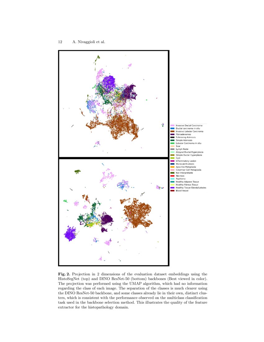 Classification in Histopathology: A unique deep embeddings extractor ... Classification in Histopathology: A unique deep embeddings extractor ...