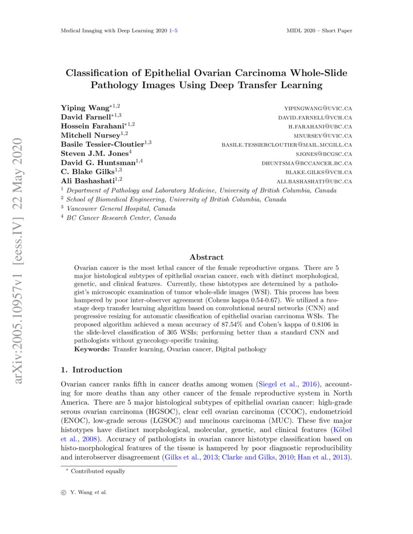 Classification of Epithelial Ovarian Carcinoma Whole-Slide Pathology ...