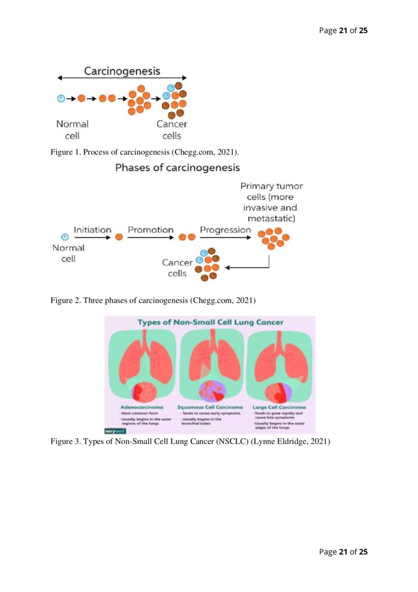 Classification of Histopathology Images of Lung Cancer Using ...