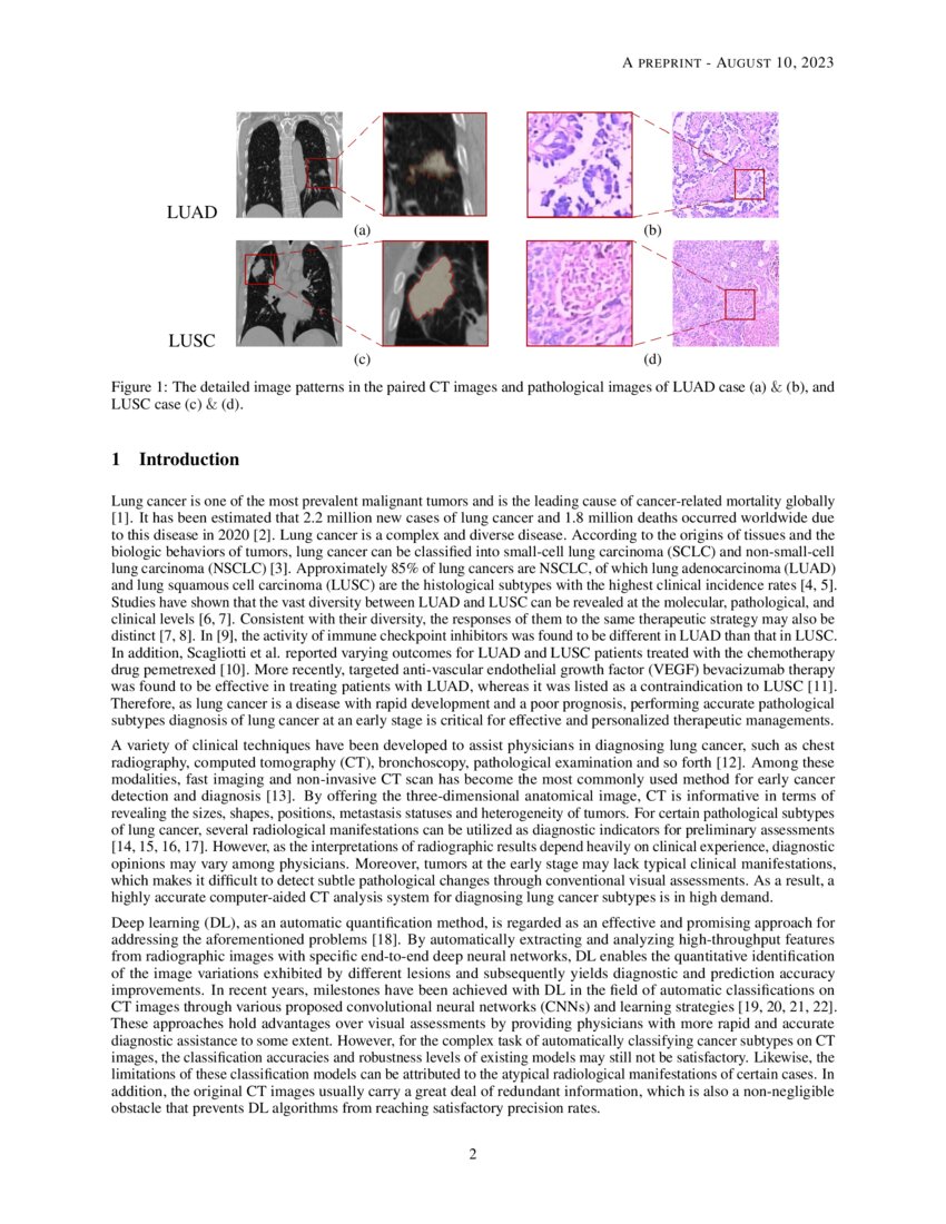 Classification Of Lung Cancer Subtypes On Ct Images With Synthetic Pathological Priors Deepai