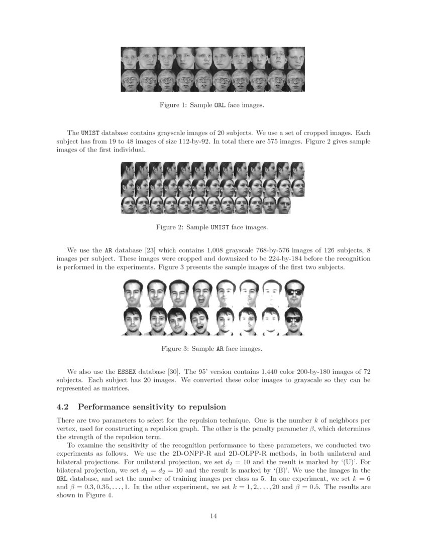 Classification with Repulsion Tensors: A Case Study on Face Recognition ...