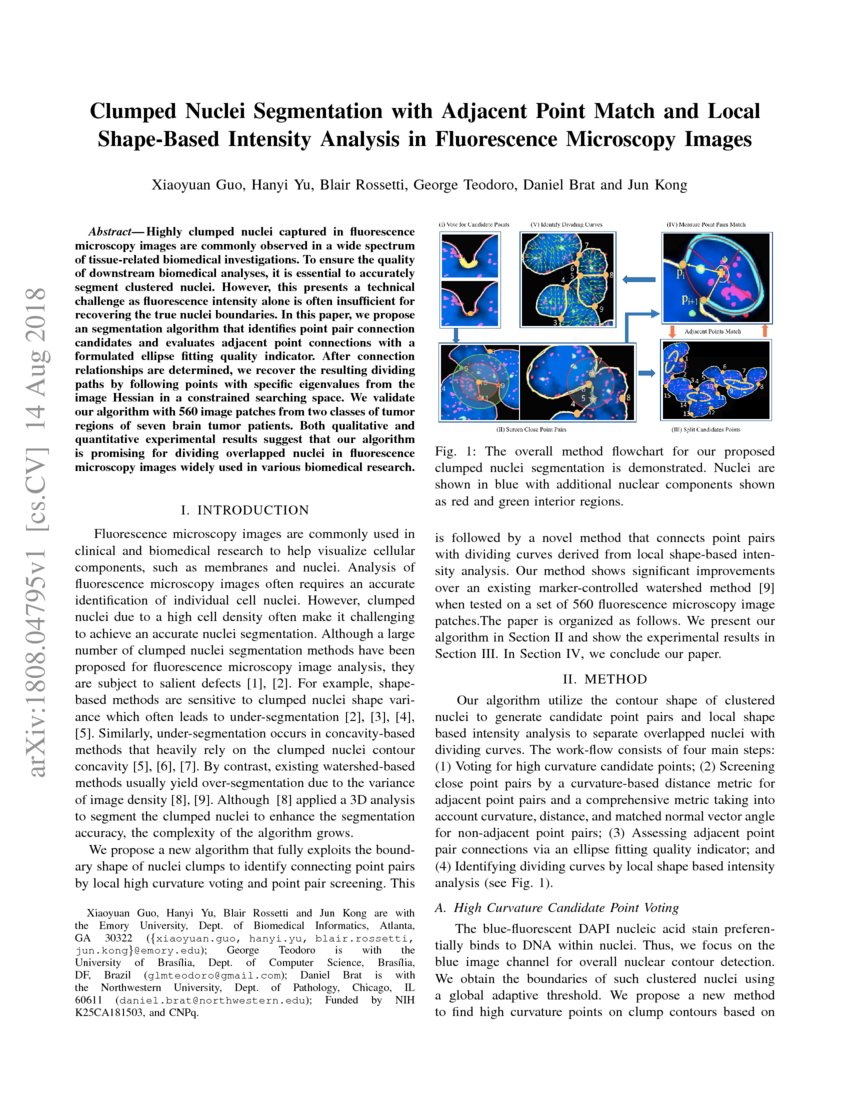 Clumped Nuclei Segmentation with Adjacent Point Match and Local Shape based Intensity Analysis ...