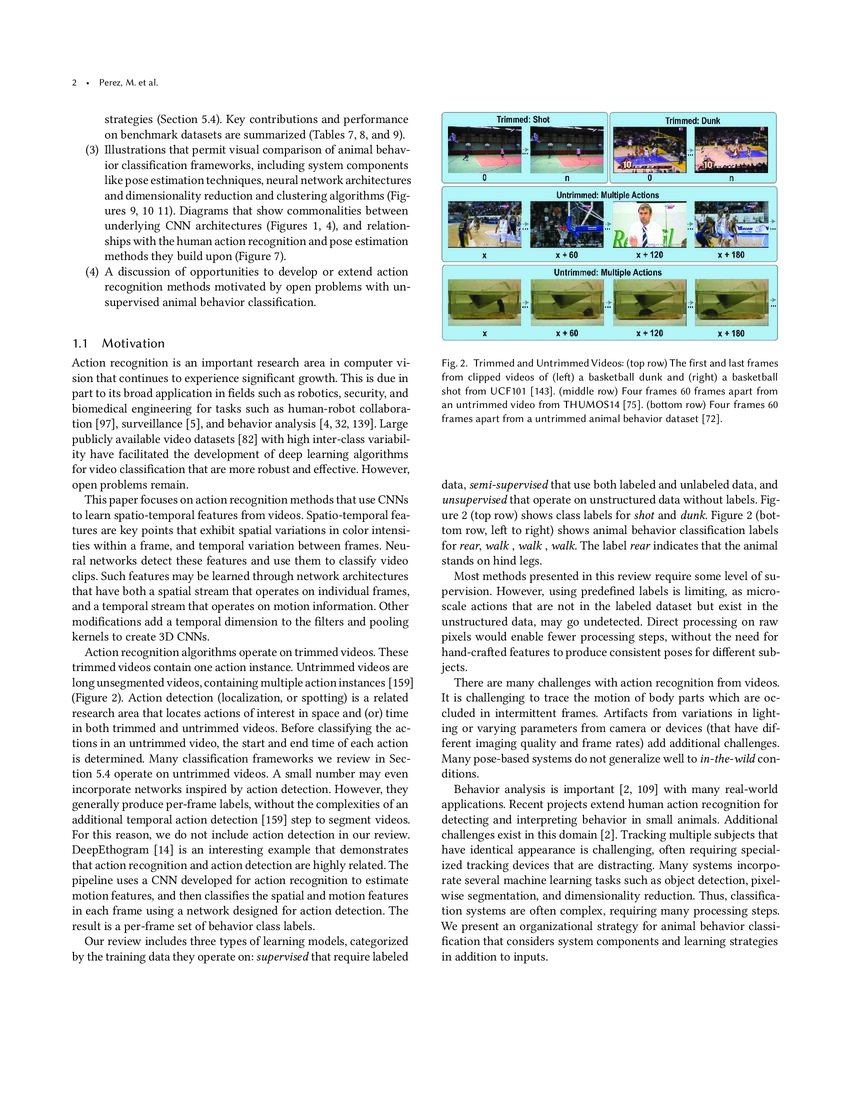 CNN-Based Action Recognition and Pose Estimation for Classifying Animal ...