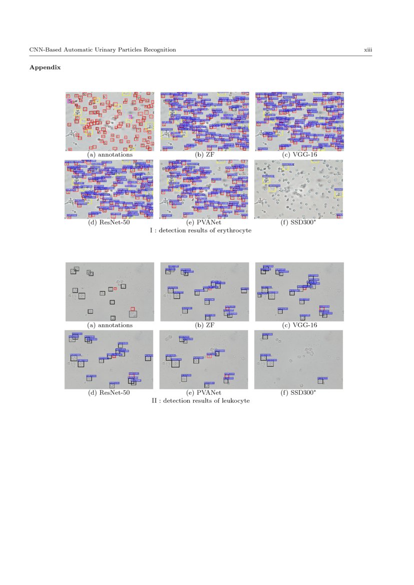 CNN-Based Automatic Urinary Particles Recognition | DeepAI