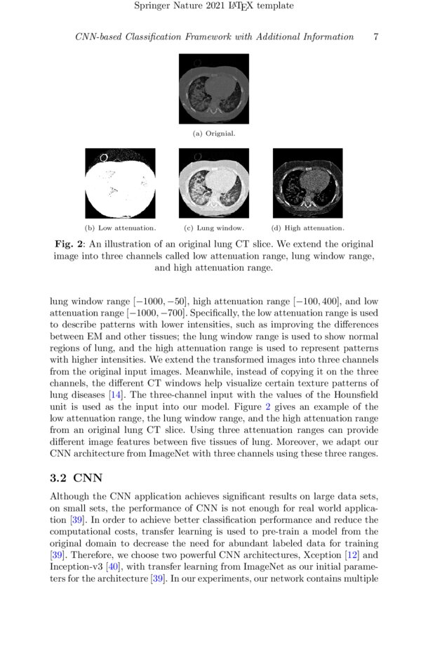 Cnn Based Classification Framework For Tissues Of Lung With Additional Information Deepai