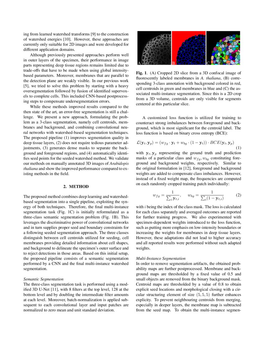 Cnn Based Preprocessing To Optimize Watershed Based Cell Segmentation In 3d Confocal Microscopy