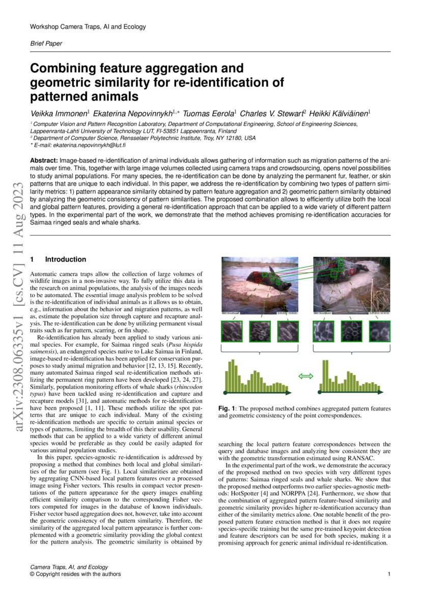 Combining Feature Aggregation And Geometric Similarity For Re Identification Of Patterned