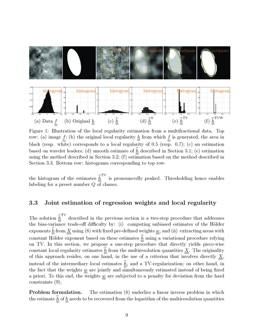 Combining Local Regularity Estimation And Total Variation Optimization For Scale Free Texture
