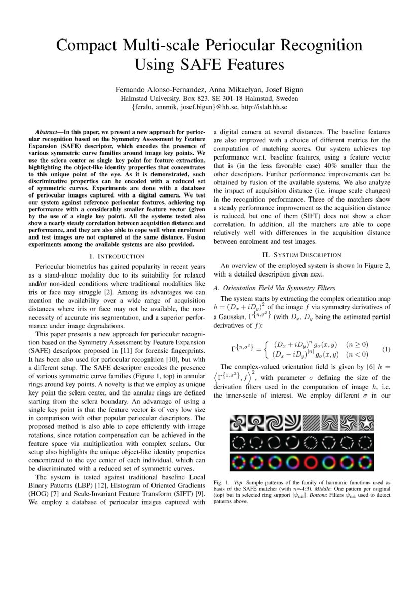 Compact multi-scale periocular recognition using SAFE features | DeepAI