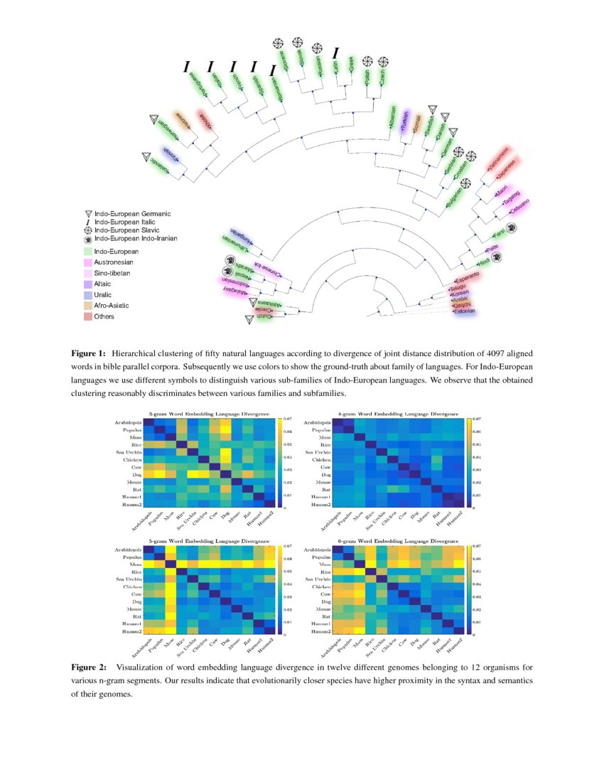 Comparing Fifty Natural Languages And Twelve Genetic Languages Using Word Embedding Language