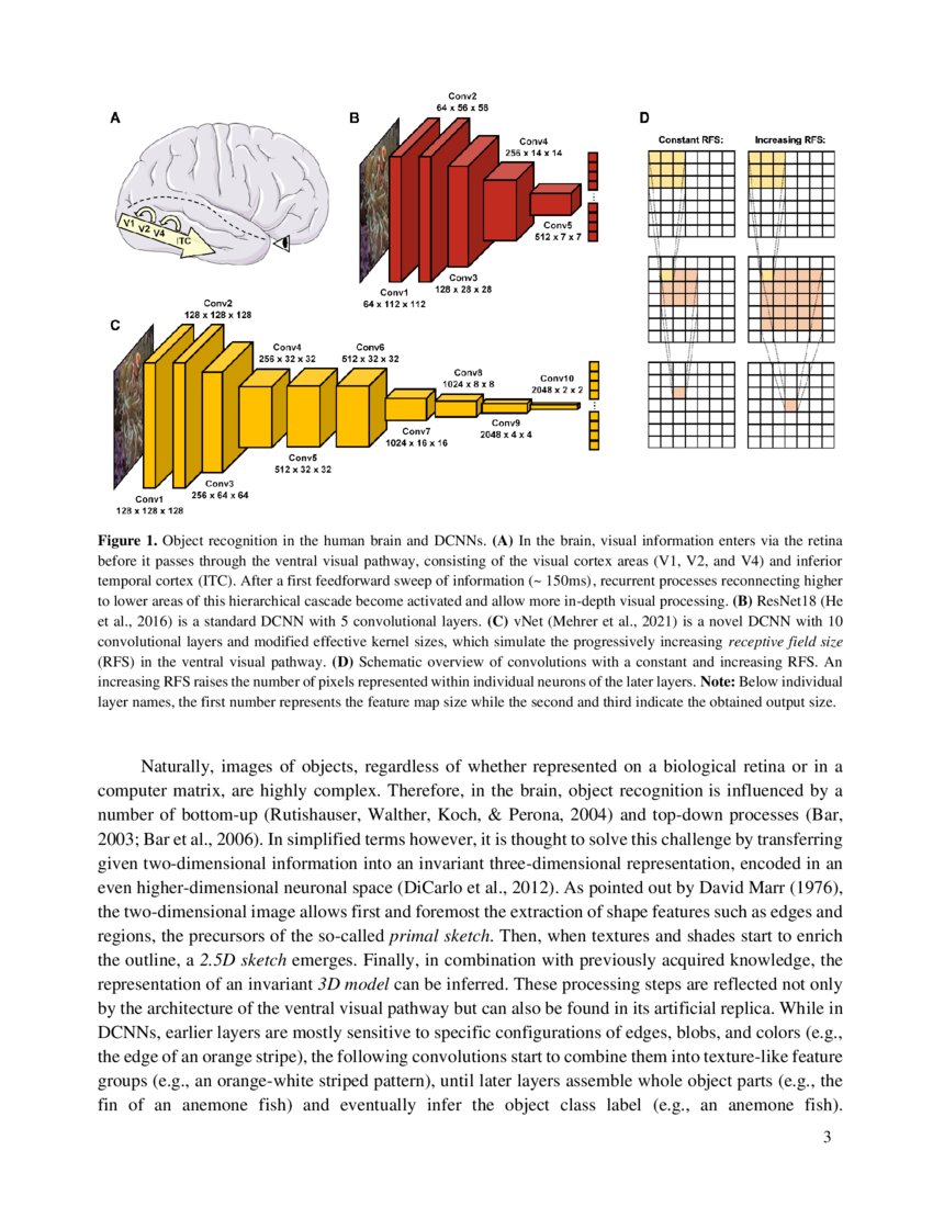 Comparing Object Recognition In Humans And Deep Convolutional Neural 8653