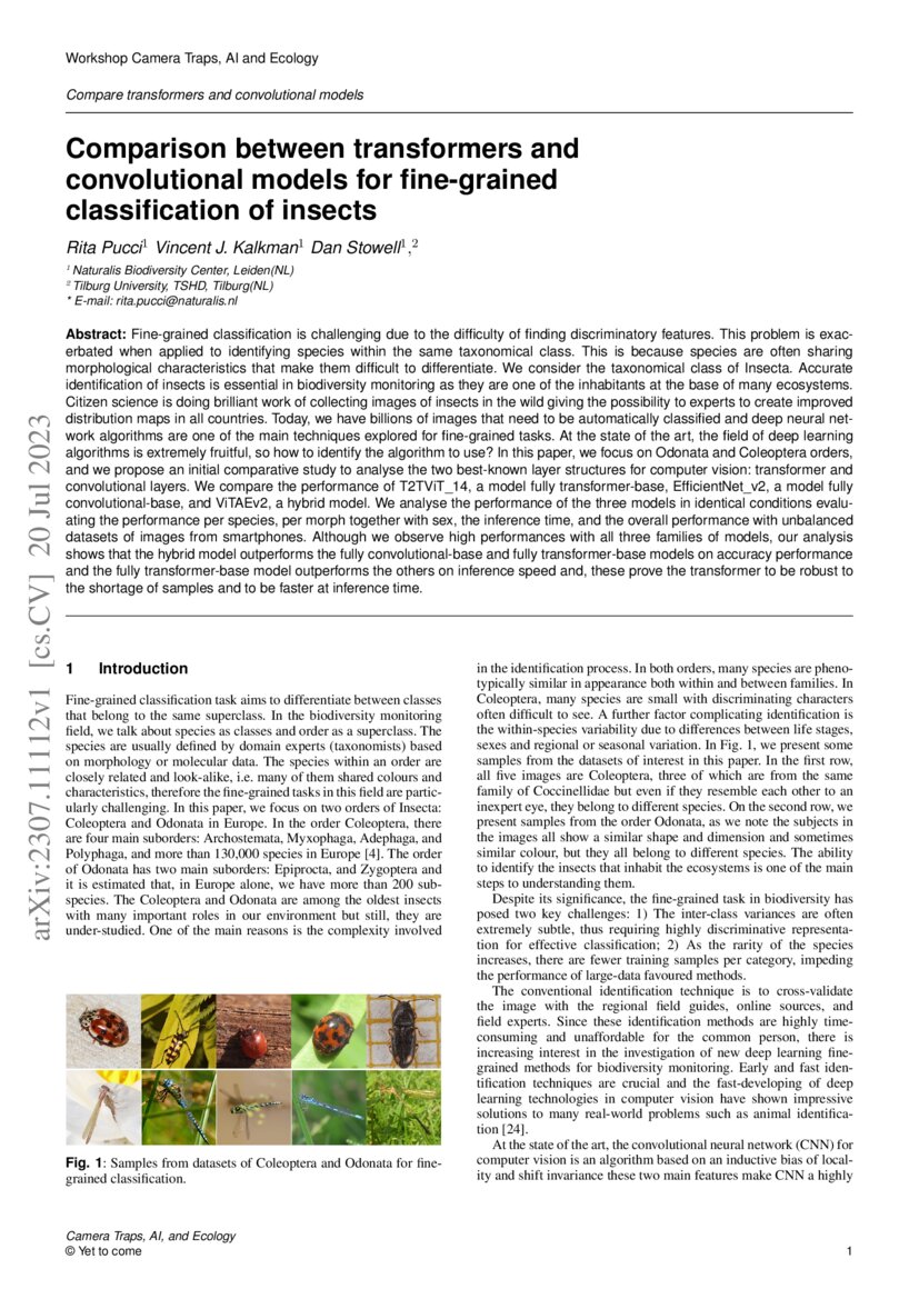 Comparison Between Transformers And Convolutional Models For Fine Grained Classification Of