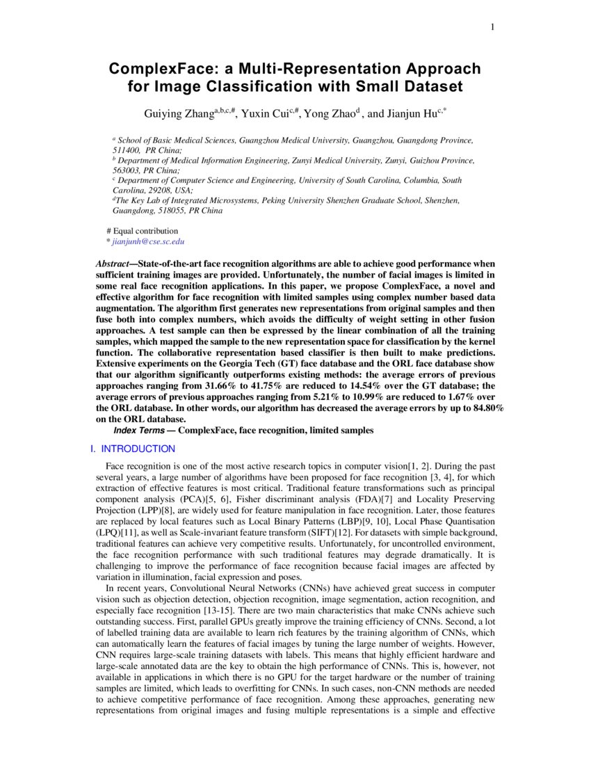 Complexface A Multi Representation Approach For Image Classification