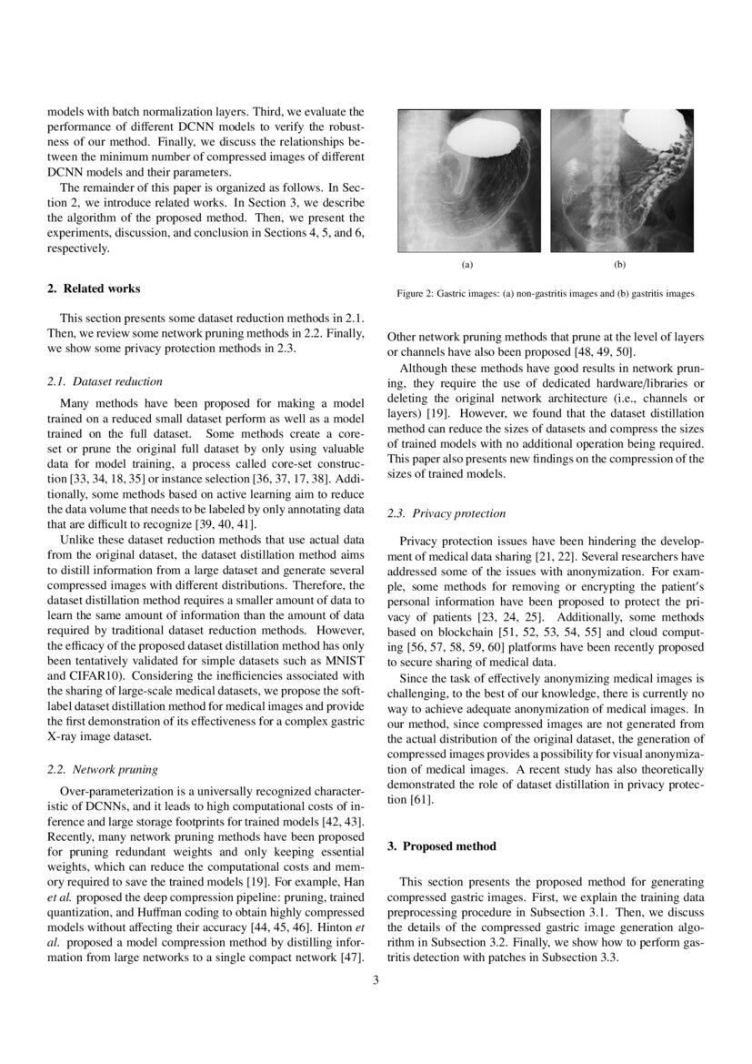 Compressed Gastric Image Generation Based on Soft-Label Dataset ...